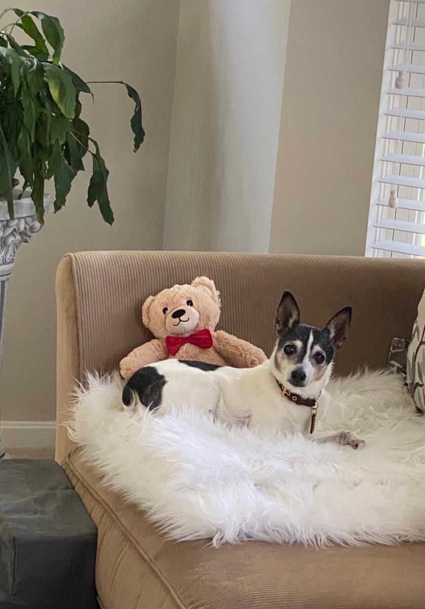 Ugg/ SCUFF LEATHER/Cognac - Mens 10 - Custom Order - Invoice 1 of 2 – B ...